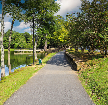 Cheap Car Insurance in Peachtree City, GA | Southern Harvest Insurance